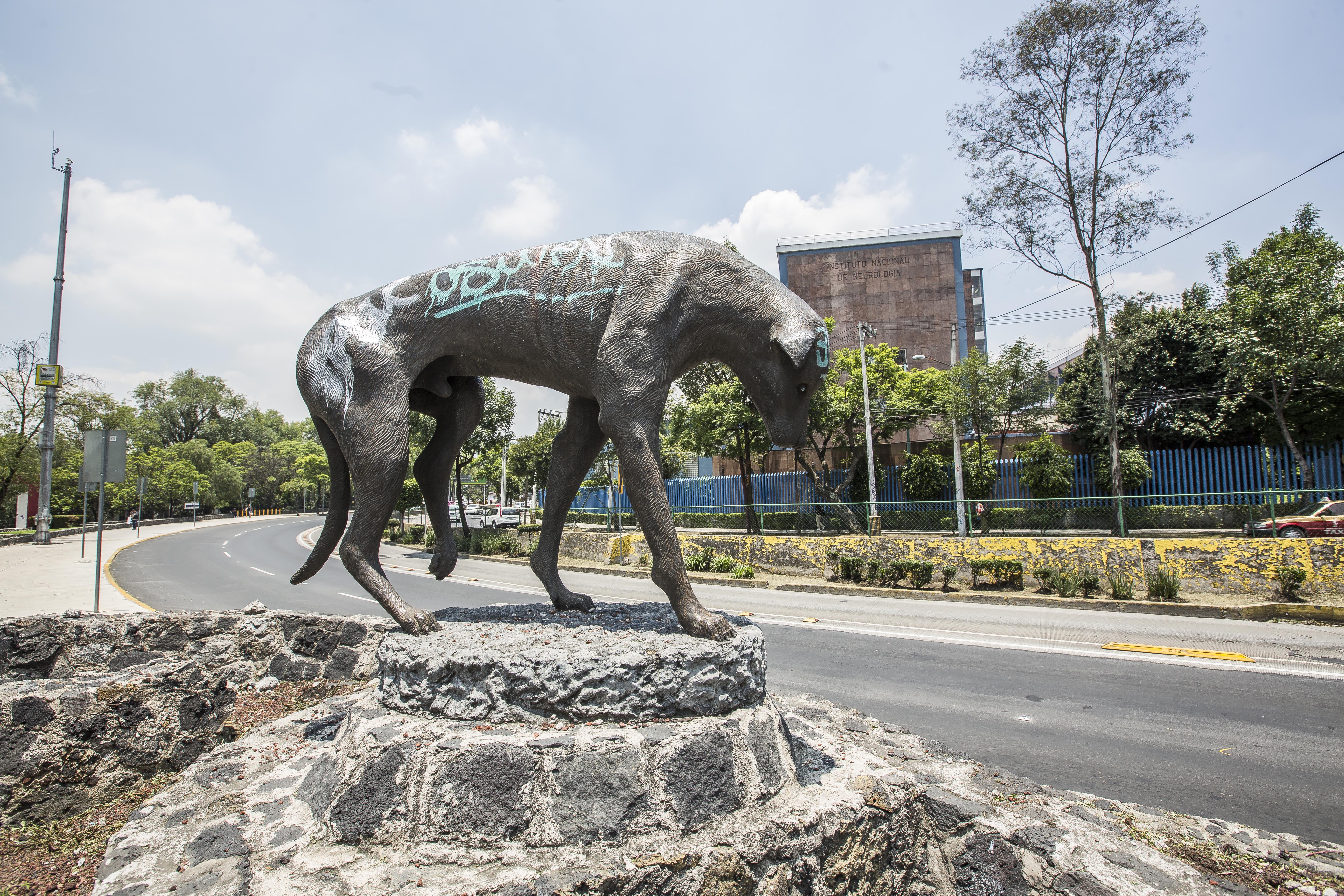 La perra vida del monumento al perro callejero - Máspormás